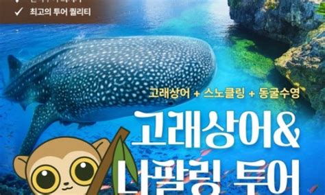 보홀 2박3일 여행 코스 보홀 고래상어 투어 시간 네이버 블로그
