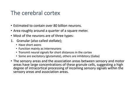 SOLUTION Higher Functions Of The Neocortex Studypool