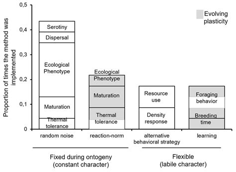 2 Model Implementation Of Plasticity The Model Implementation Was