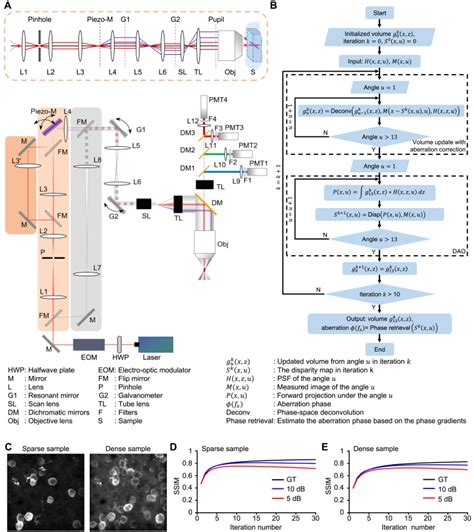Two Photon Synthetic Aperture Microscopy For Minimally Invasive Fast 3d Imaging Of Native