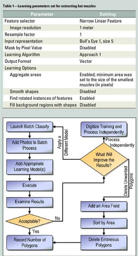 Flowchart Showing Procedures For Batch Processing Photos To Derive Download Scientific Diagram