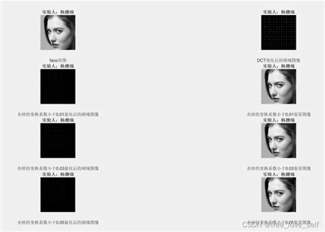 河南大学 数字图像处理 图像变换 Csdn博客
