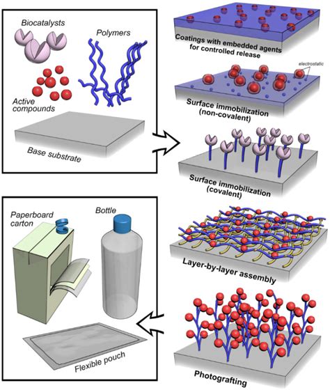 Summary Of Coating Technologies Download Scientific Diagram