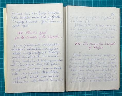 History Of The New Testiment And The Passion And Death Of Jesus Christ In Crow Language By