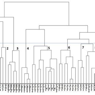 Dendrogram Obtained By Cluster Analysis Performed Using The Single Ward Download Scientific