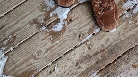 Calves Porn Tube Video Clips Clips Sale