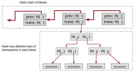 Currency Of The Free Bitcoin Blockchain Essentials Intellectsoft Blog