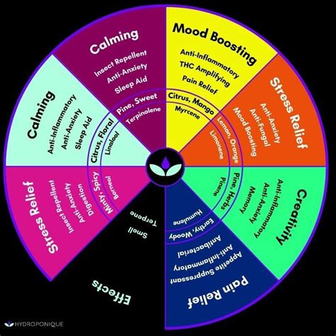The Only Terpene Chart You Ll Ever Need Artofit