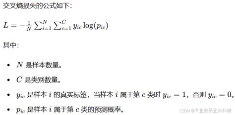 交叉熵损失与二元交叉熵损失：区别、联系及实现细节 csdn博客