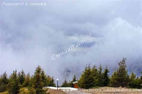 Статии с етикет община баните Смолян днес Актуални новини от Смолян и региона