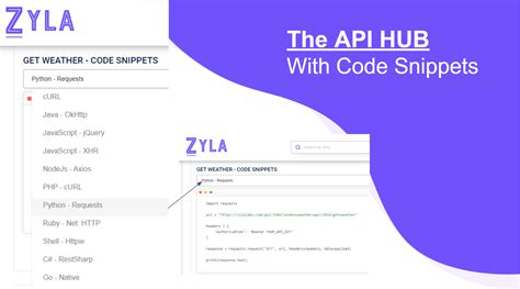 How To Find Code Snippets In An Api Marketplace Zyla Api Hub Blog