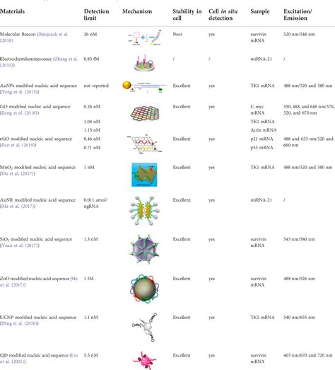 Table 2 From Dna Enabled Fluorescent Based Nanosensors Monitoring Tumor Related Rna Toward