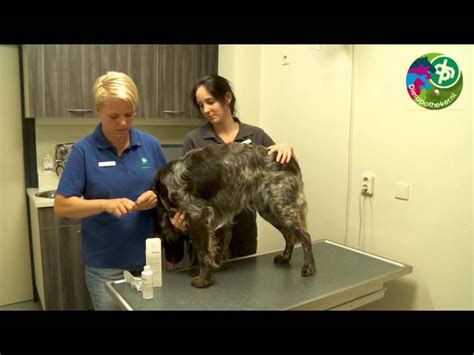 Prepusol Voorhuidreiniger 120 Ml Flacon