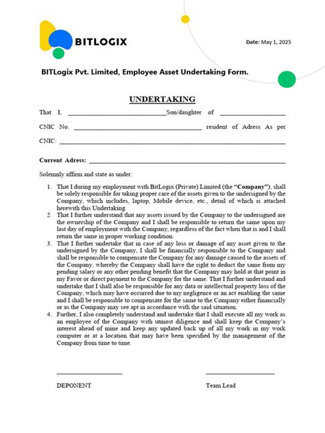 It Asset Undertaken Form Pdf Private Law Business