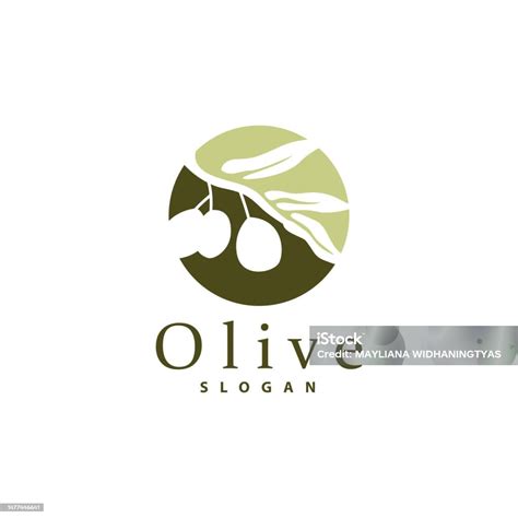 올리브 오일 로고 올리브 잎 식물 허브 정원 벡터 간단한 우아한 고급스러운 아이콘 디자인 템플릿 그림 0명에 대한 스톡 벡터 아트 및 기타 이미지 Istock