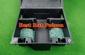 10 Best Rat Poisons That Works Review 2026