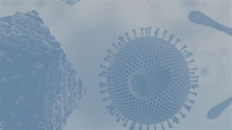 Viral Vector Engineering And Manufacture Revvity