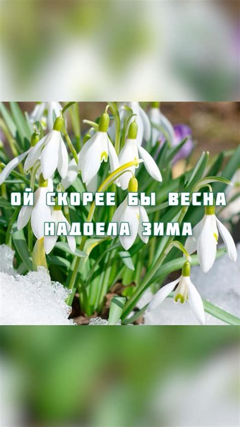 Pin Av счастье рядом På Ваши пины