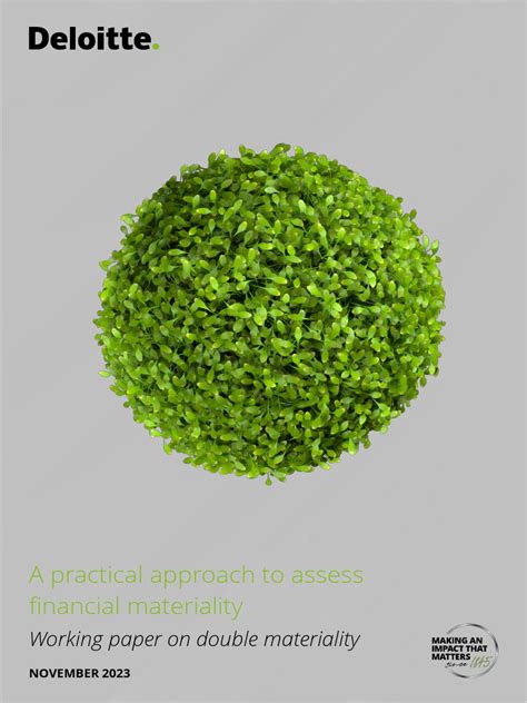 A Practical Approach To Assess Financial Materiality Pdf Risk