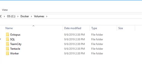 Running SQL Server Developer In A Windows Based Docker Container Octopus Deploy