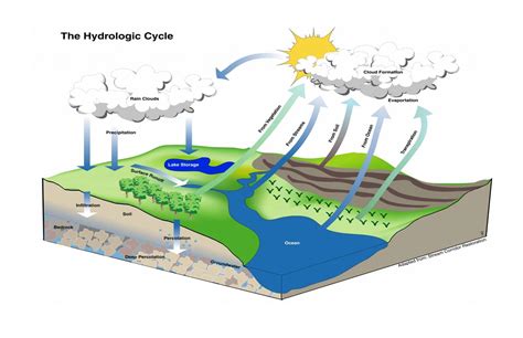 Watershed Diagram