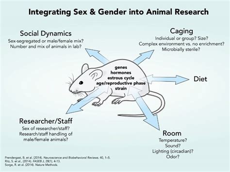 Animal Research Gendered Innovations