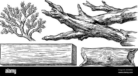 Rustic Decorative Wood And Tree Branch Engravings For Nature Inspired