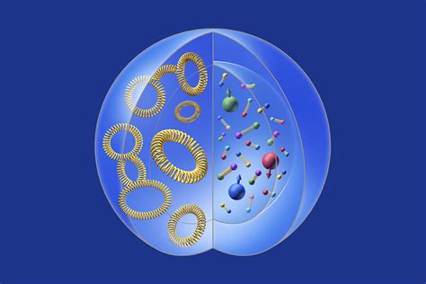 Lattice Qcd Determination Of Nucleons Gravitational Form Factors Nuclear Science Division