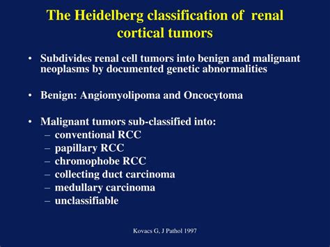 Ppt Evaluation And Management Of The Small Renal Mass Powerpoint