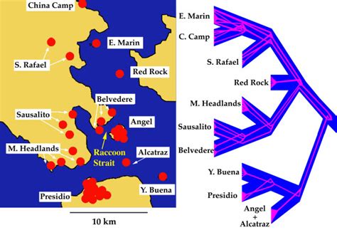 Population Tree And Contained Gene Tree In Selected Island And Mainland