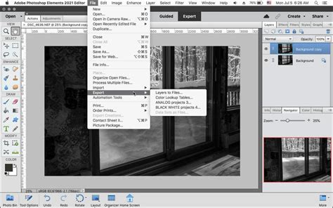 solved export button is grayed out adobe community 9970987