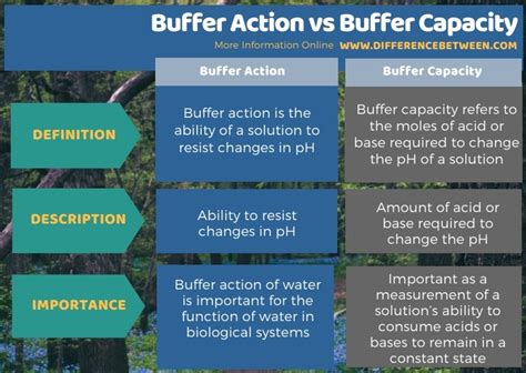 Difference Between Buffer Action And Buffer Capacity Compare The Difference Between Similar Terms
