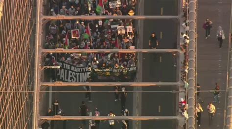 Pro Palestinian Protesters Scale Part Of Brooklyn Bridge Force Shutdown Of Iconic Nyc Artery