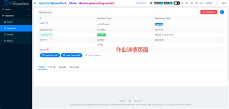 用户指南 快速上手 《apache Streampark 中文版 214 Incubating》 Devlive 开源社区