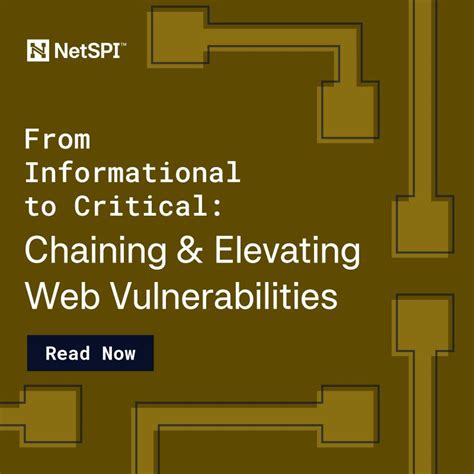 When Initial Informational Issue Turns High Severity ‼️ Netspi Security Consultant Ii Anurag