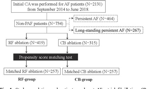 Figure 1 From Optimal Single Procedure Strategy Of Pulmonary Vein Isolation With Cryoballoon Or