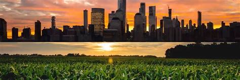 Helping Service Providers Ensure Their Bead Network Build Outs Are Baba