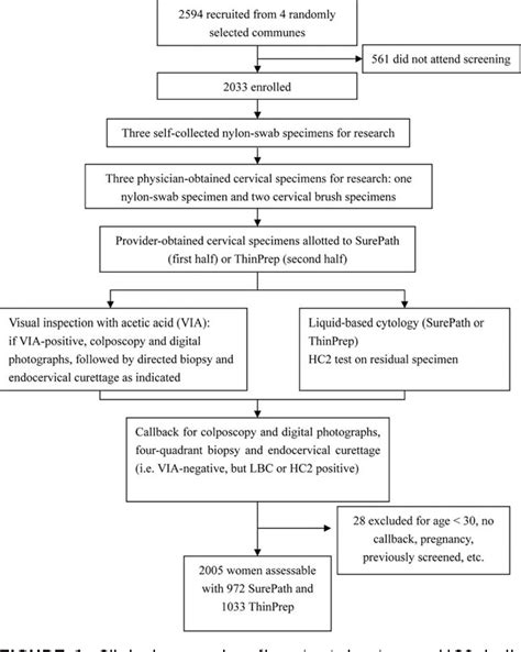 Figure 1 From Comparison Of Thinprep And Surepath Liquid Based Cytology And Subsequent Human