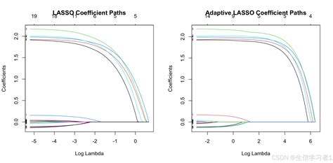 R语言机器学习算法实战系列（二十七）lasso 与 Adaptive Lasso 在特征选择中的比较与应用自适应lasso Csdn博客