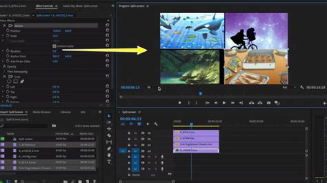 Full Guide Crop Scale To Split Screen In Adobe Premiere Pro