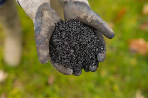 Biochar An Overview Onnu