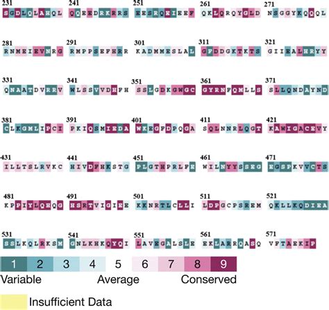 Consurf Output Using The Uniref90 Protein Database Download