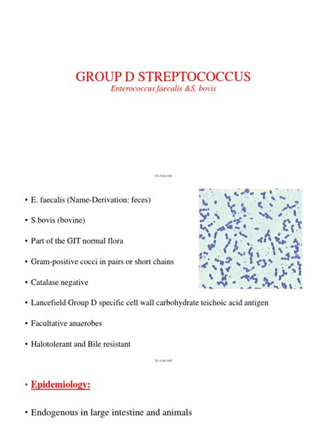 Enterococcus Or Group D Streptococci Pdf
