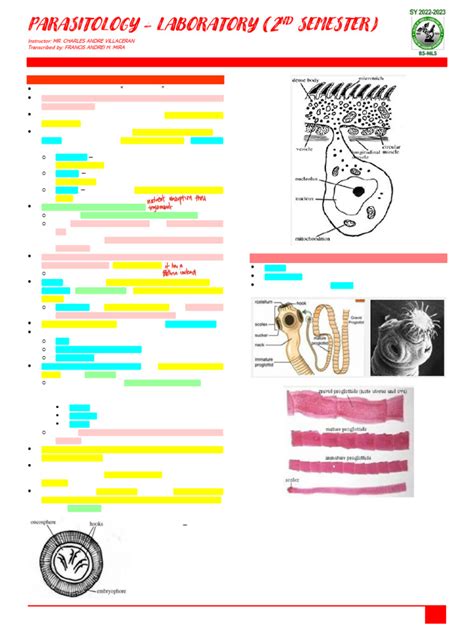 Cestodes Para Lab Mls 2e Pdf
