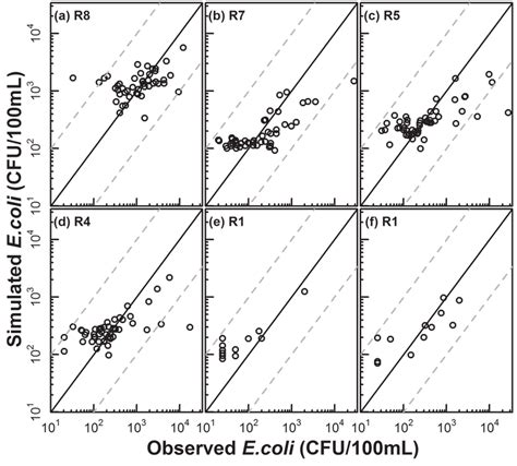 Simulated Versus Observed Escherichia Coli Concentrations During The Download Scientific