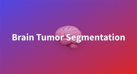 a polarbear brain tumor segmentation at main