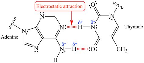 Illustrated Glossary Of Organic Chemistry Electrostatic Interaction