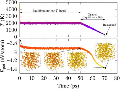 Understanding The Structure Of Amorphous Carbon And Silicon With Machine Learning Atomistic