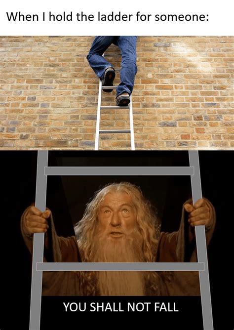 Latest Memes New Memes Memedroid