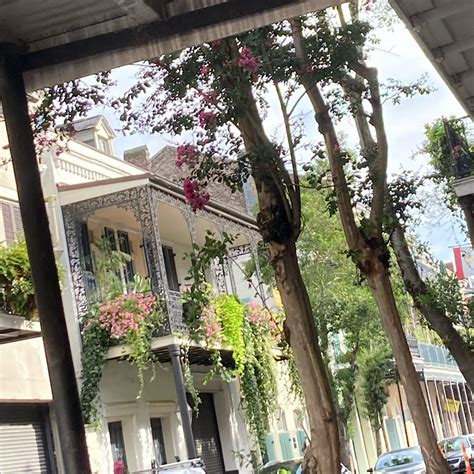 🩰maya Sofia Youtube